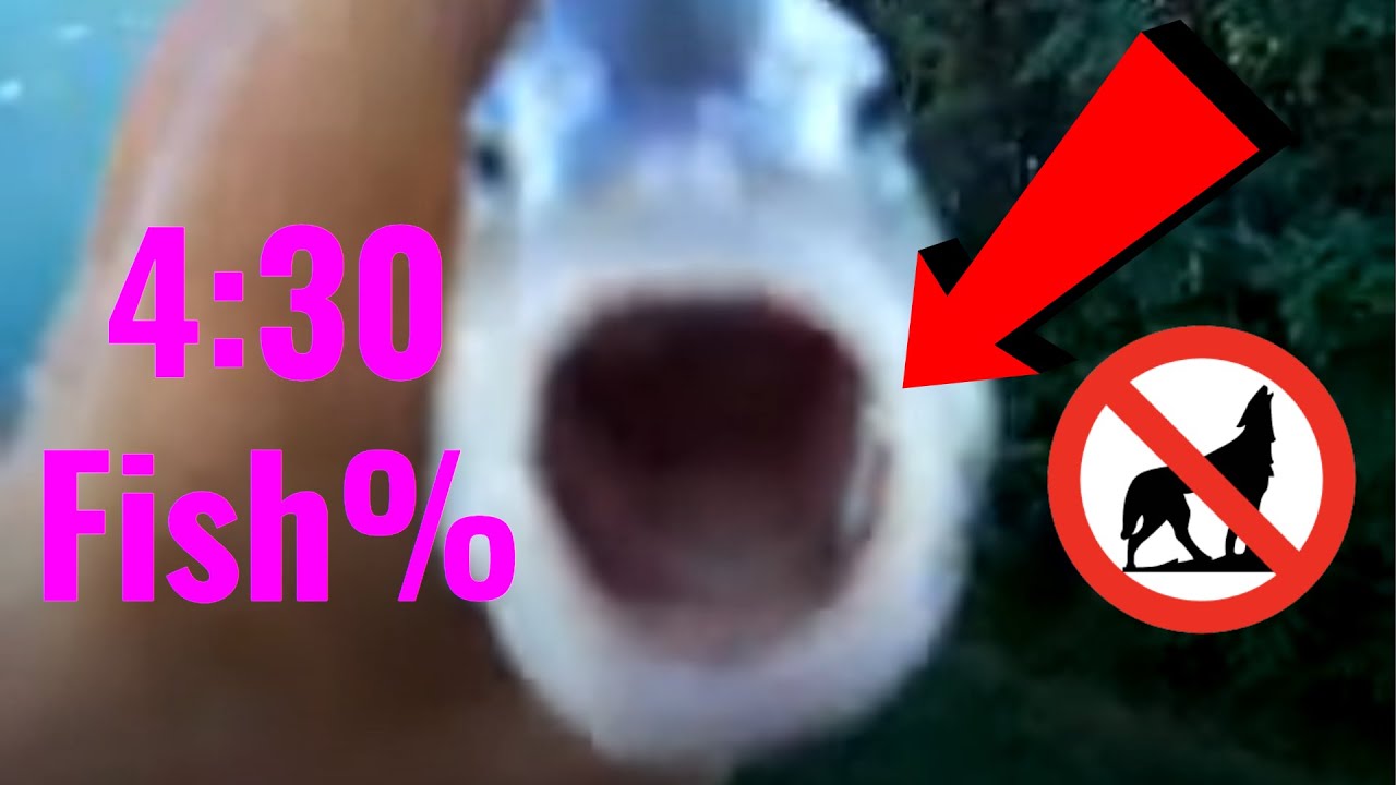 Fish% Record Smashed - BTW Speedrun with Commentary! - YouTube