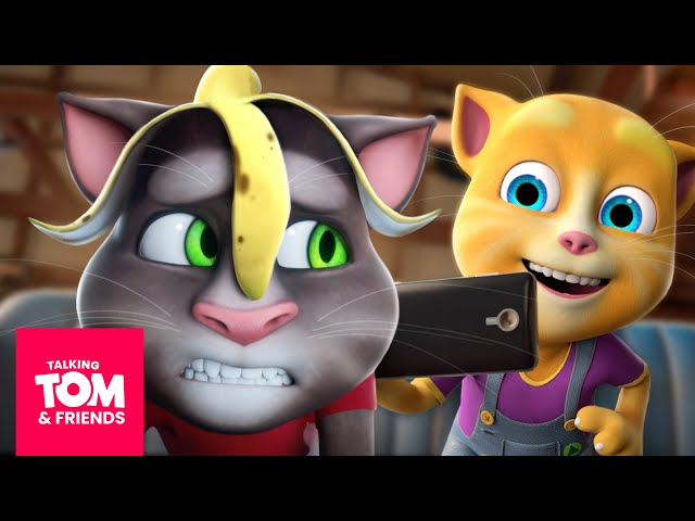 Cat Talking Friends