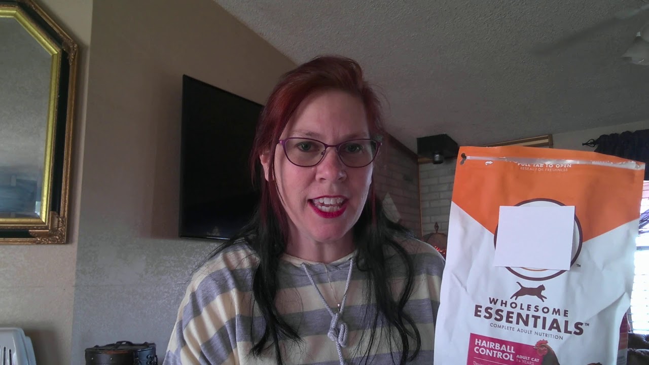 How to avoid stale cat food 2/19/21 - YouTube