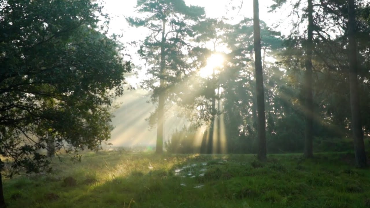 relex mind for every person. relex mind#meditation#relexing#healing# ...