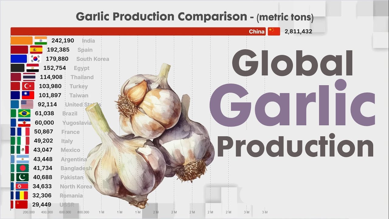 LARGEST PRODUCERS OF GARLIC IN THE WORLD - YouTube