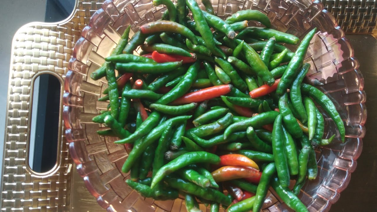green chilli Achar recipe - YouTube