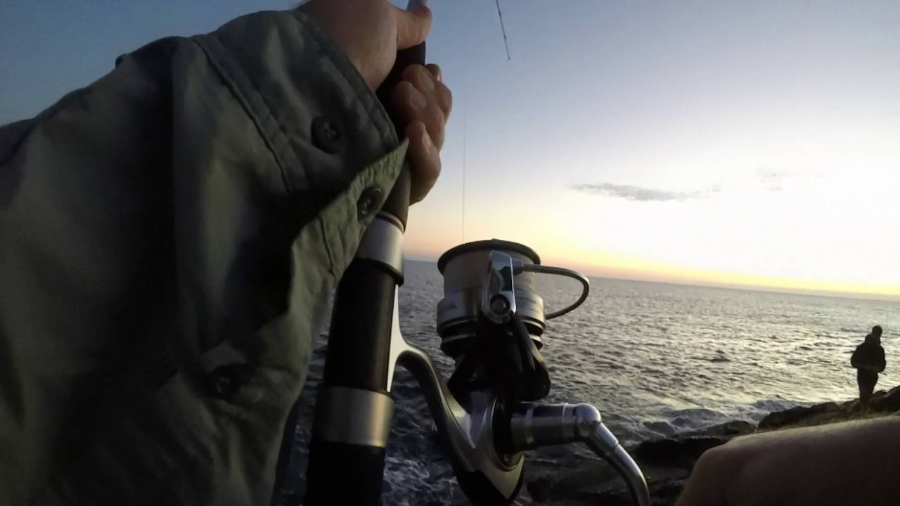 Mack Tuna YouTube mack-tuna-youtube