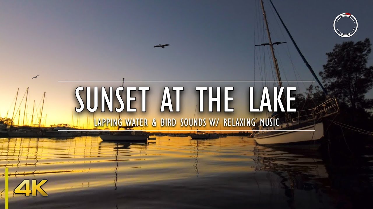 Sunset at the Lake | Gentle Lapping Water Sounds & Birdsong in 4K w ...