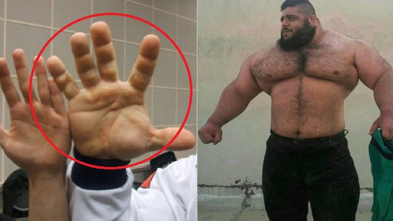 5 Real Life Giants 2017 - YouTube