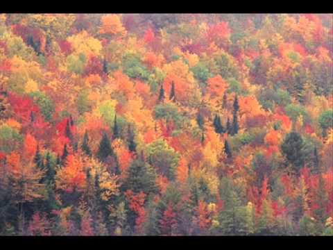TINEMAR Mangalia - Mioritic plaiul meu.wmv
