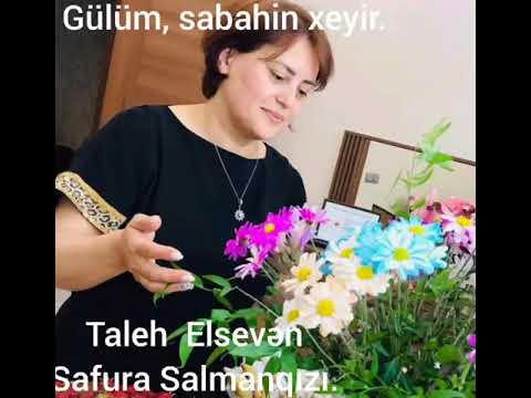 Taleh Elsevən---- Safura Salmanqızı--- Gülüm sabahın xeyir---
