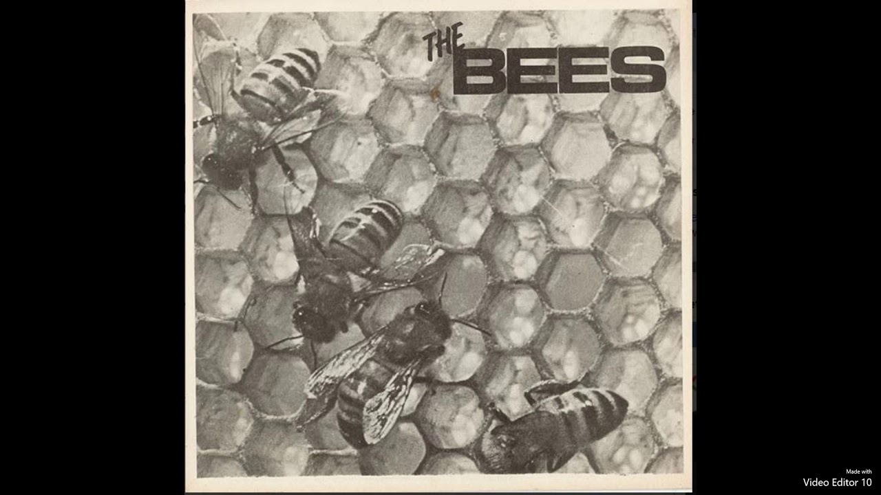The Bees - Circuit Breaker - YouTube