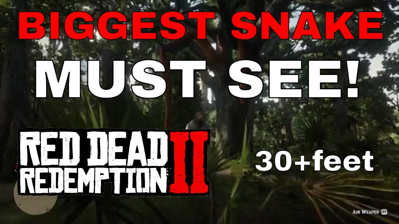 Huge Dead Snake Easter Egg | Red Dead Redemption 2 - YouTube