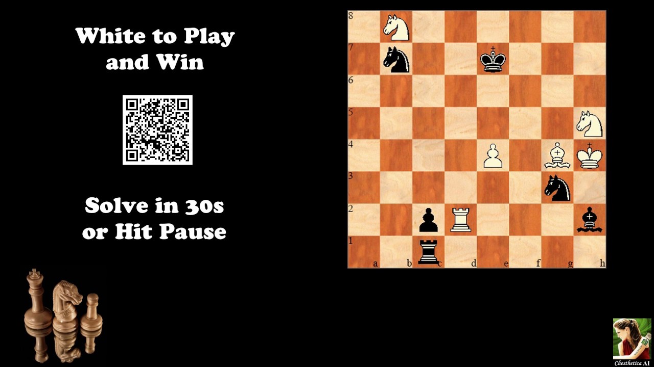 Computer-Generated Chess Problem 02497 - YouTube