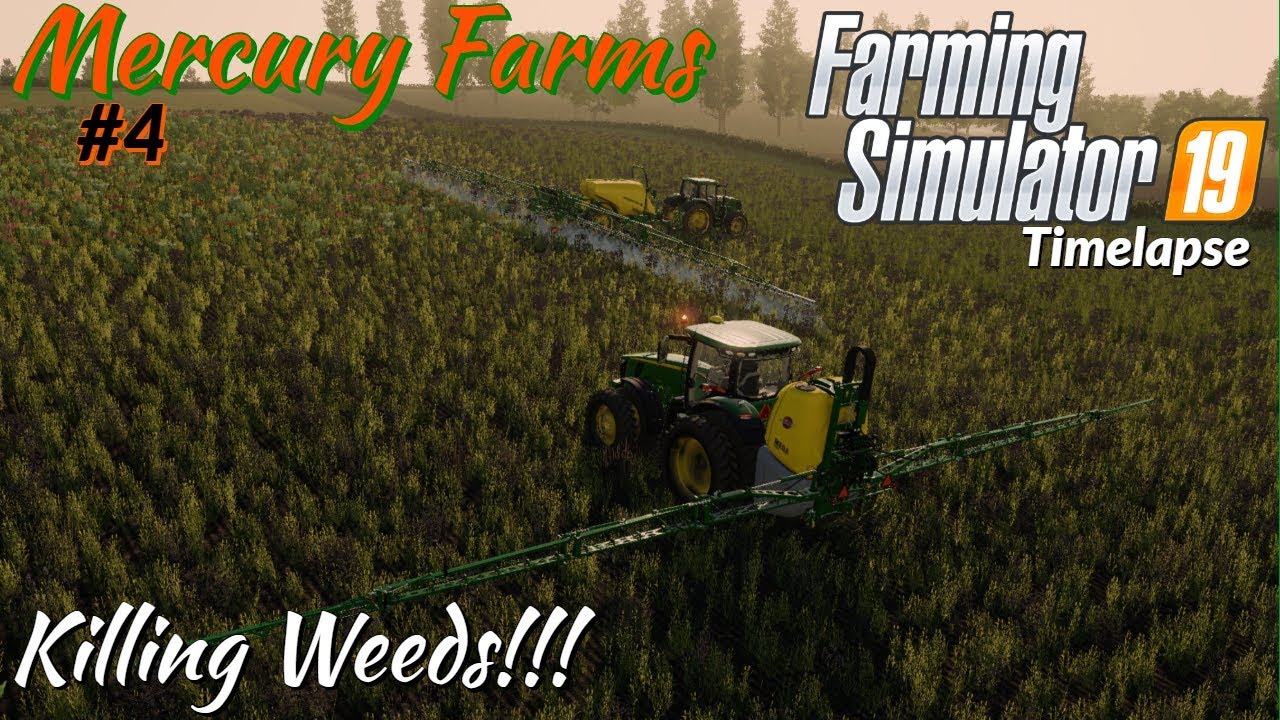 MERCURY FARMS | GETTING READY FOR HARVEST! | FS19 Timelapse | #4 | Xbox ...