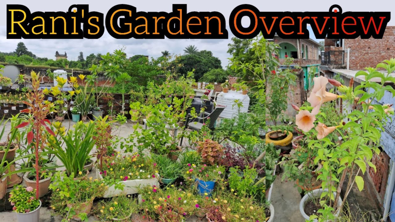 Rani's Garden Overview Beautiful Garden Overview - YouTube