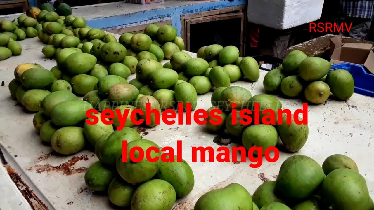mango seychelles island local fruits - YouTube