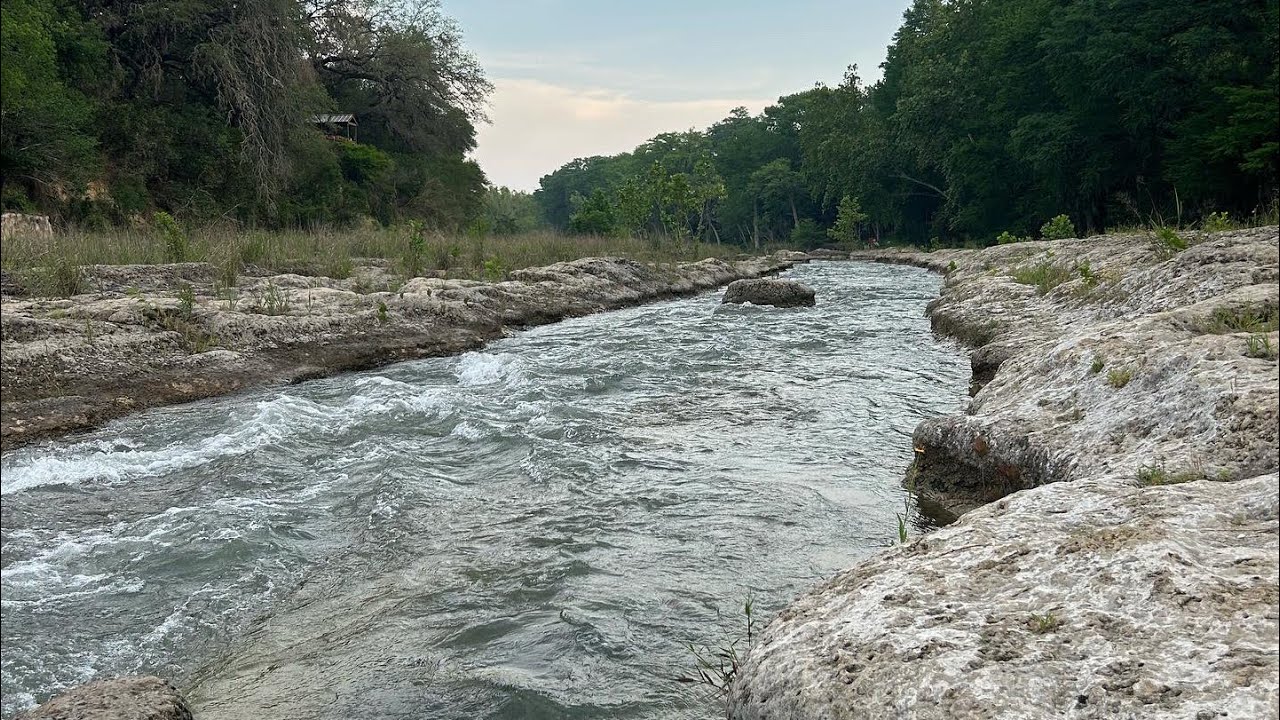 S. Sipes - PSYC 2308 - Video Project: Ferdinand & Craft - YouTube