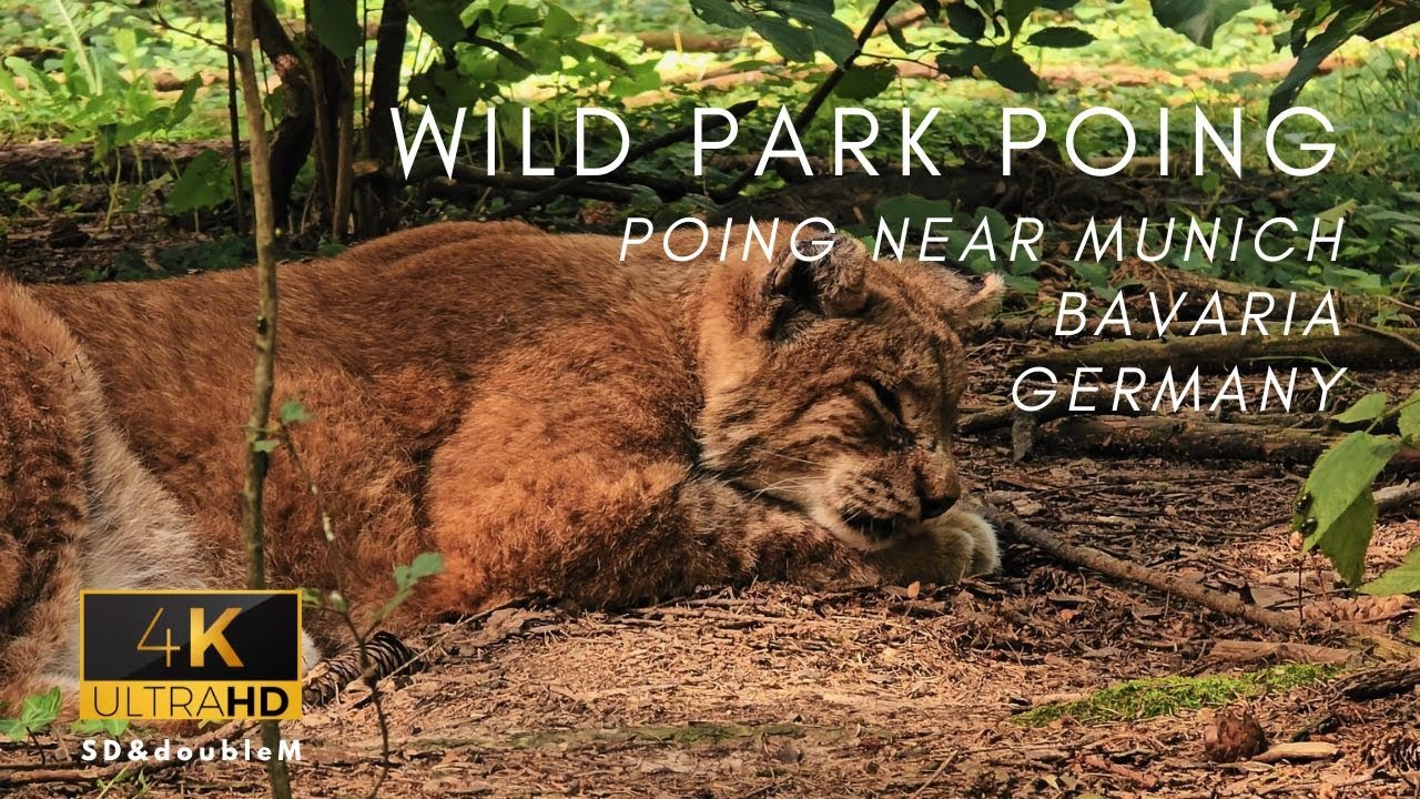 Wild Park Poing - Germany - YouTube