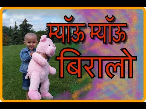 Miau Miau Biralo Nepali Nursery Rhymes and Nepali Kids Song - YouTube