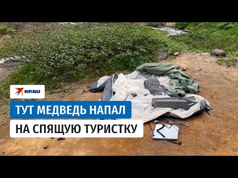 Видео с места нападения медведя на спящую туристку опубликовала прокуратура Камчатки