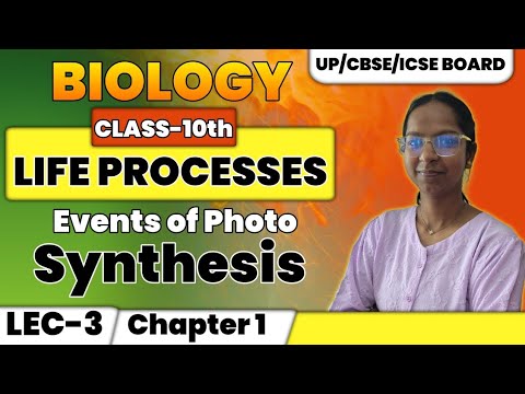 Class 10th | Biology | Life processes | Chapter 1 | Events of ...