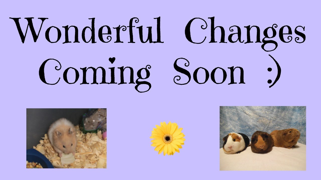 Wonderful Changes Coming Soon :) - YouTube
