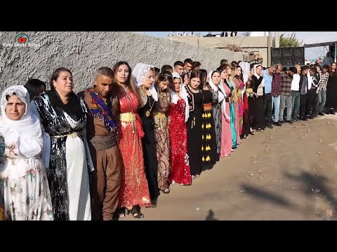 Şırnak Silopi Mutallip Akın Düğünü Part 2 (#akın Ailesinin mutlu günü)