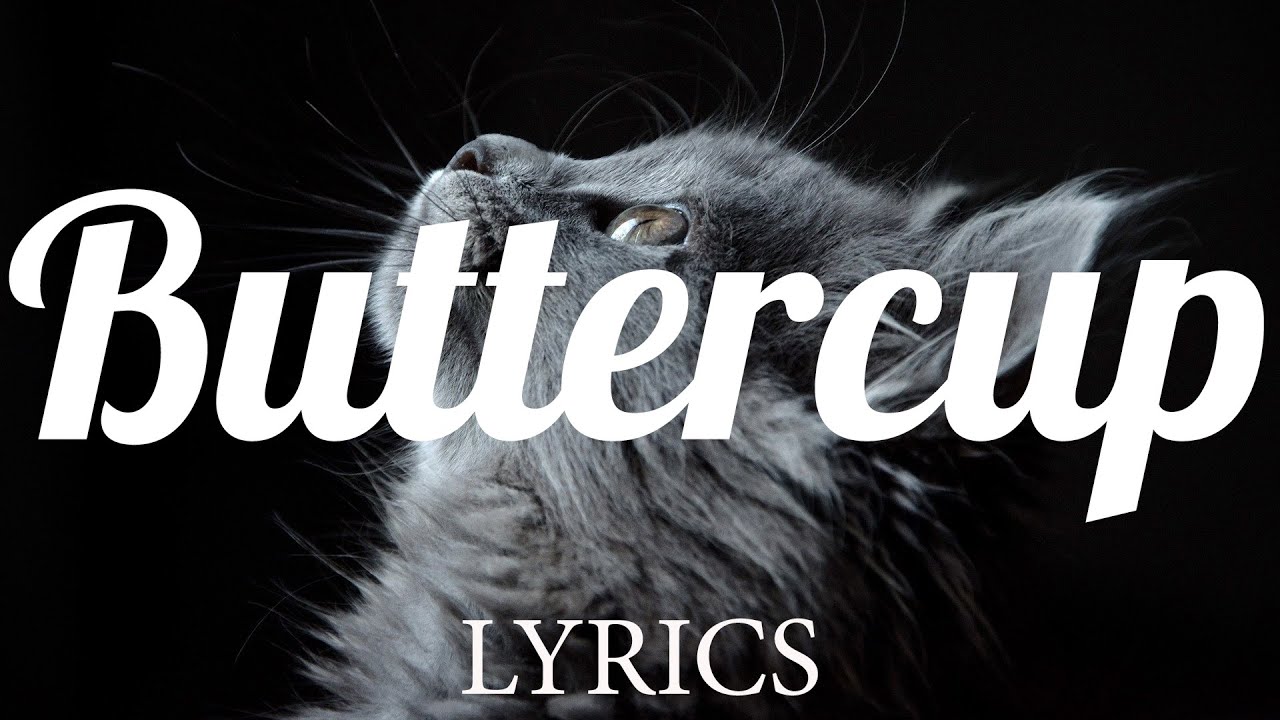Buttercup - Jack Stauber (Lyrics) - YouTube
