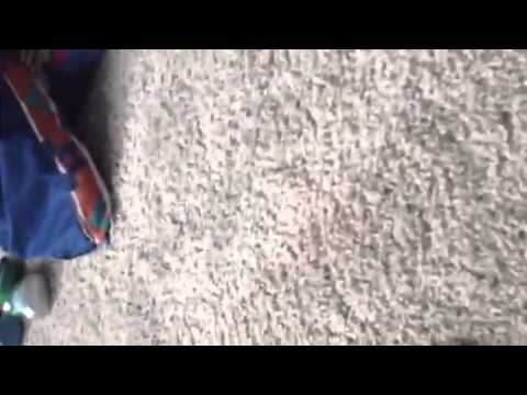 The funny poop match - YouTube