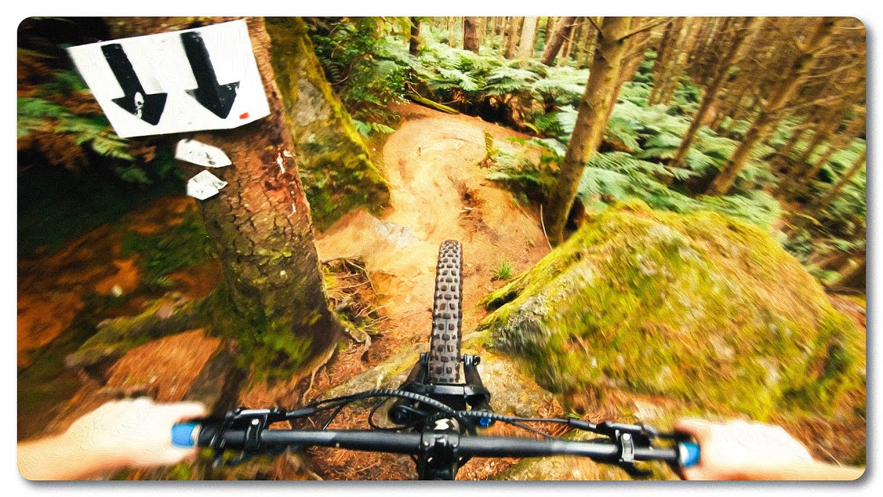 Epic Mountain Bike trails that no one rides! POV in the Rotorua ...