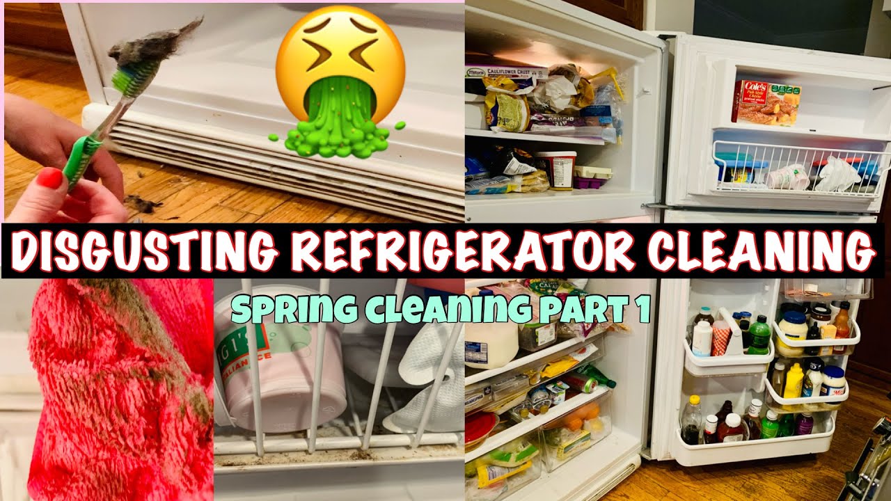 DISGUSTING REFRIGERATOR/FREEZER Clean out and organize/ OMG it was so ...