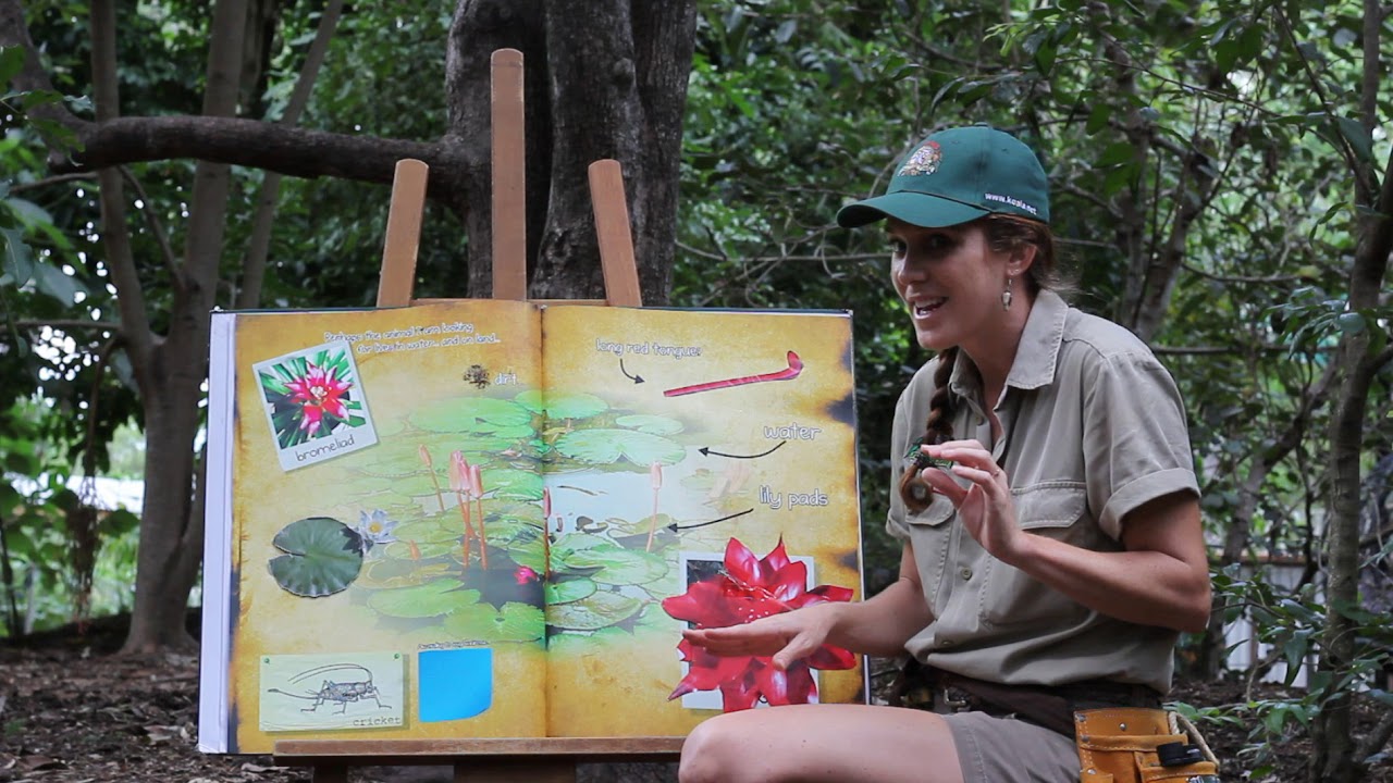 Backyard Explorers Part 1🥾🐛🎒 - YouTube