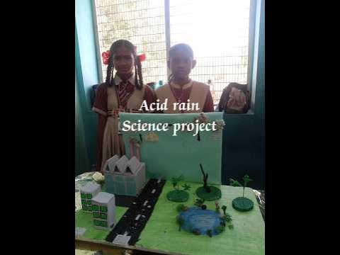 Acid rain || science fair project @newvikasenglishmediumschool - YouTube