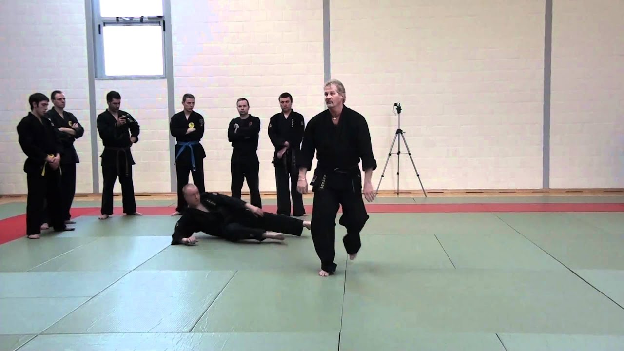 Kosho Shorei Ryu Kempo : Caging + onna no atemi + throwing - YouTube