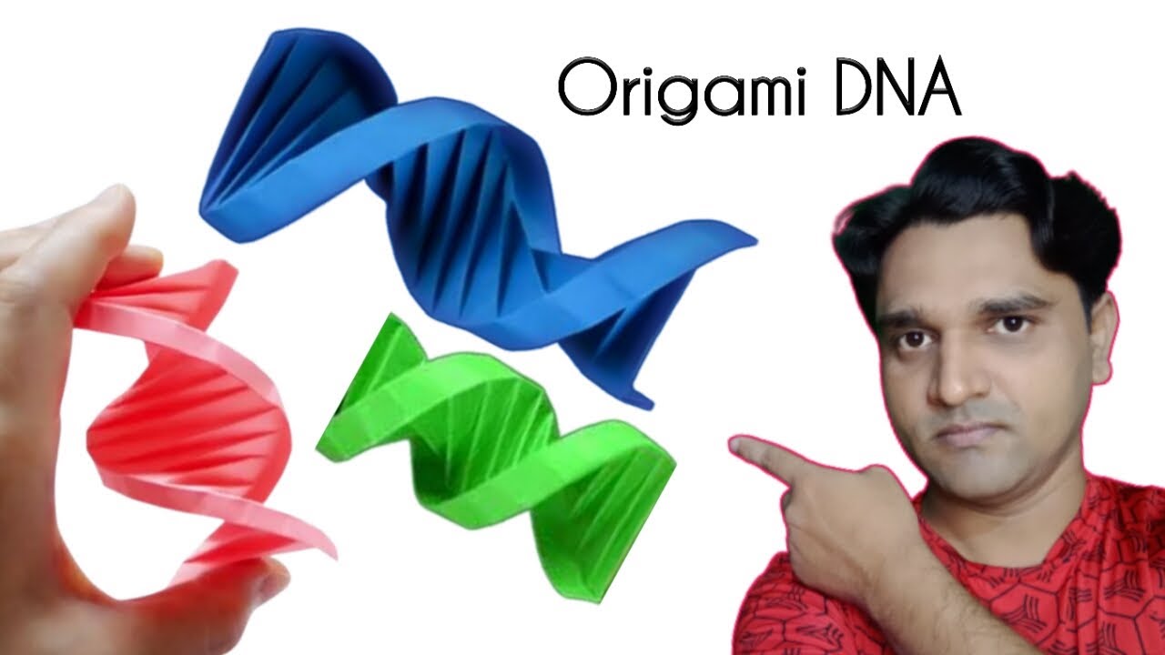 DNA origami: how to fold a double helix | कागज़ का DNA मॉडल कैसे बनाएं ...