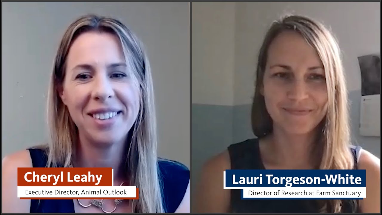 Vegan Family Podcast With Special Guest Lauri Torgerson-White - YouTube