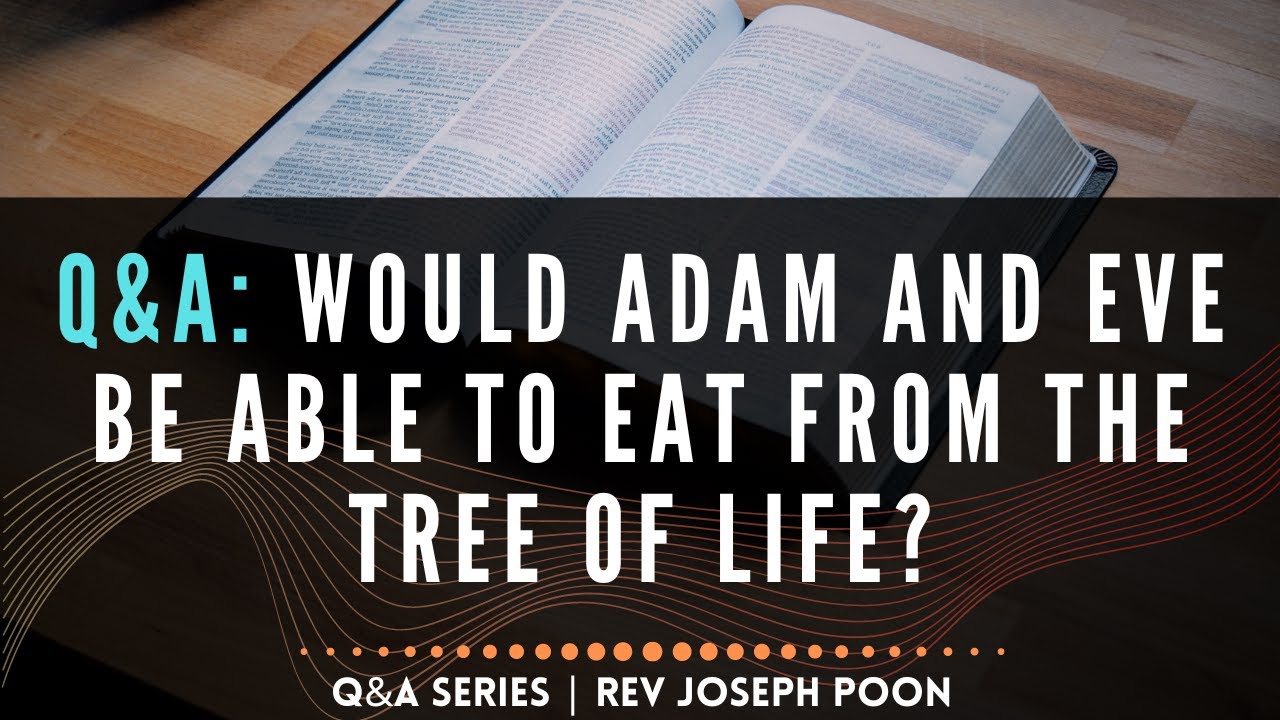 Would Adam And Eve Be Able To Eat From The Tree Of Life? - Bible Q&A ...