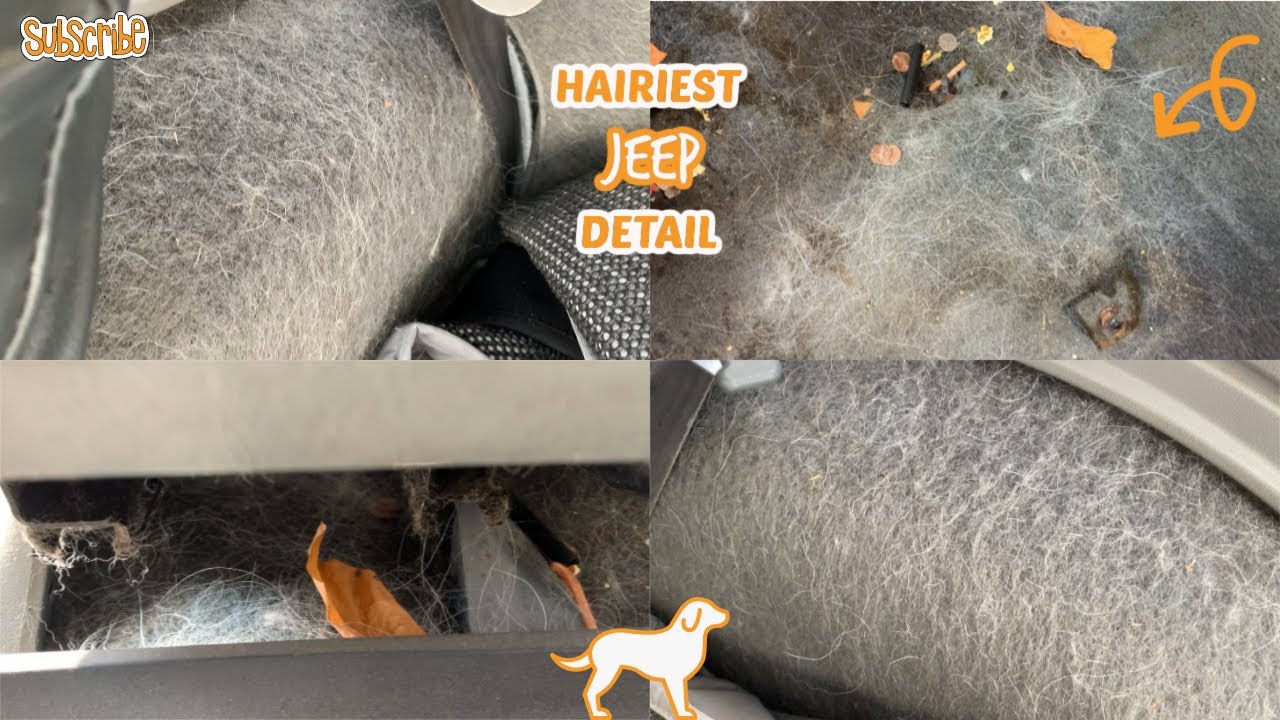 Deep Cleaning A HAIRY Jeep Cherokee | Complete DISASTER Detail ...