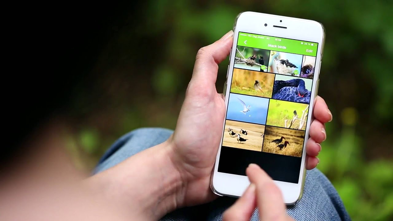 Dreamstime buyer's app - YouTube