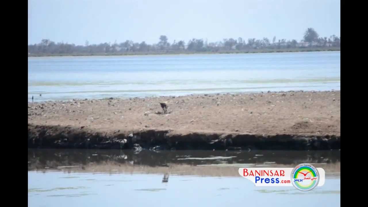 MARCHICA MED BENI ENSAR NADOR MAROC - YouTube