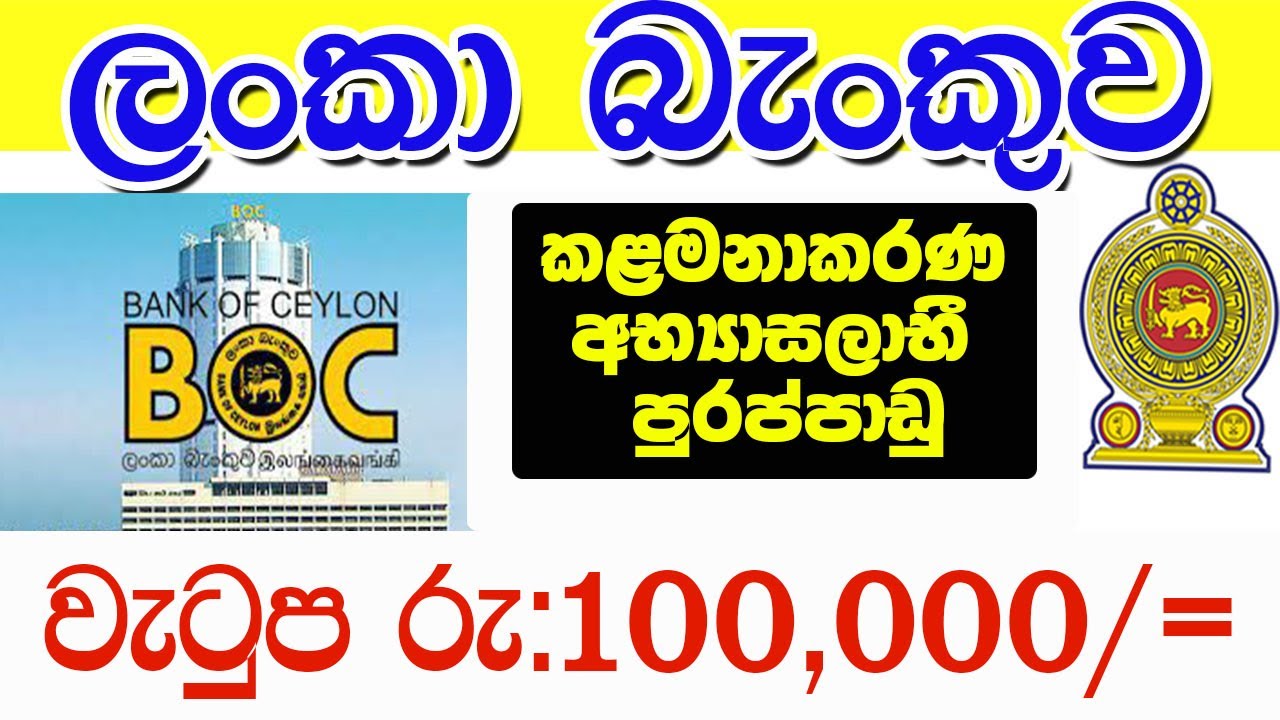 ලංකා බැංකුවේ කළමනාකරණ අභ්‍යාසලාභී පුරප්පාඩු | BOC Management Trainee ...