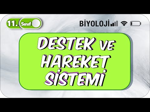 Destek ve Hareket Sistemi | Tek Videoda Anlatım | 11. Sınıf Biyoloji  #2023