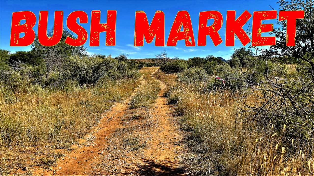 Finkenstein Estate Bush Market near Windhoek, Namibia, southern Africa ...