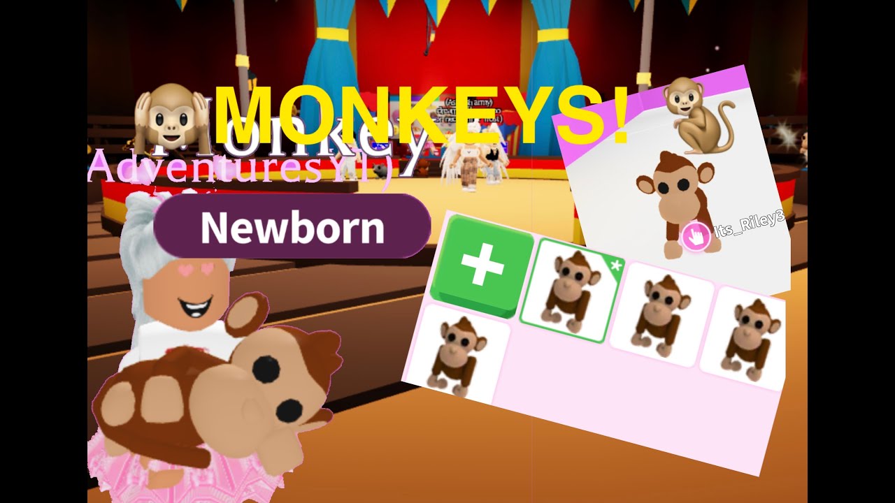 😱🙉New Adopt Me MONKEY Update! 🙊🎪~ RiFi Adventures ( READ DESC FOR MORE ...