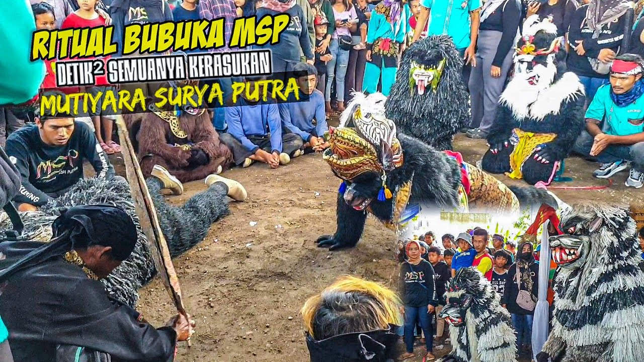 RITUAL BUBUKA KUDA LUMPING MSP || MUTIYARA SURYA PUTRA || @RL14813 ...