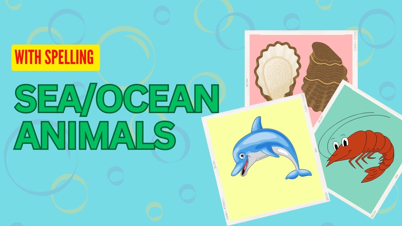 Sea/ocean animals names with spelling #oceananimals #seaanimals - YouTube