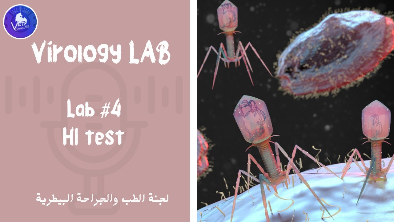 Virology Lab - Lab#4 HI Test - YouTube