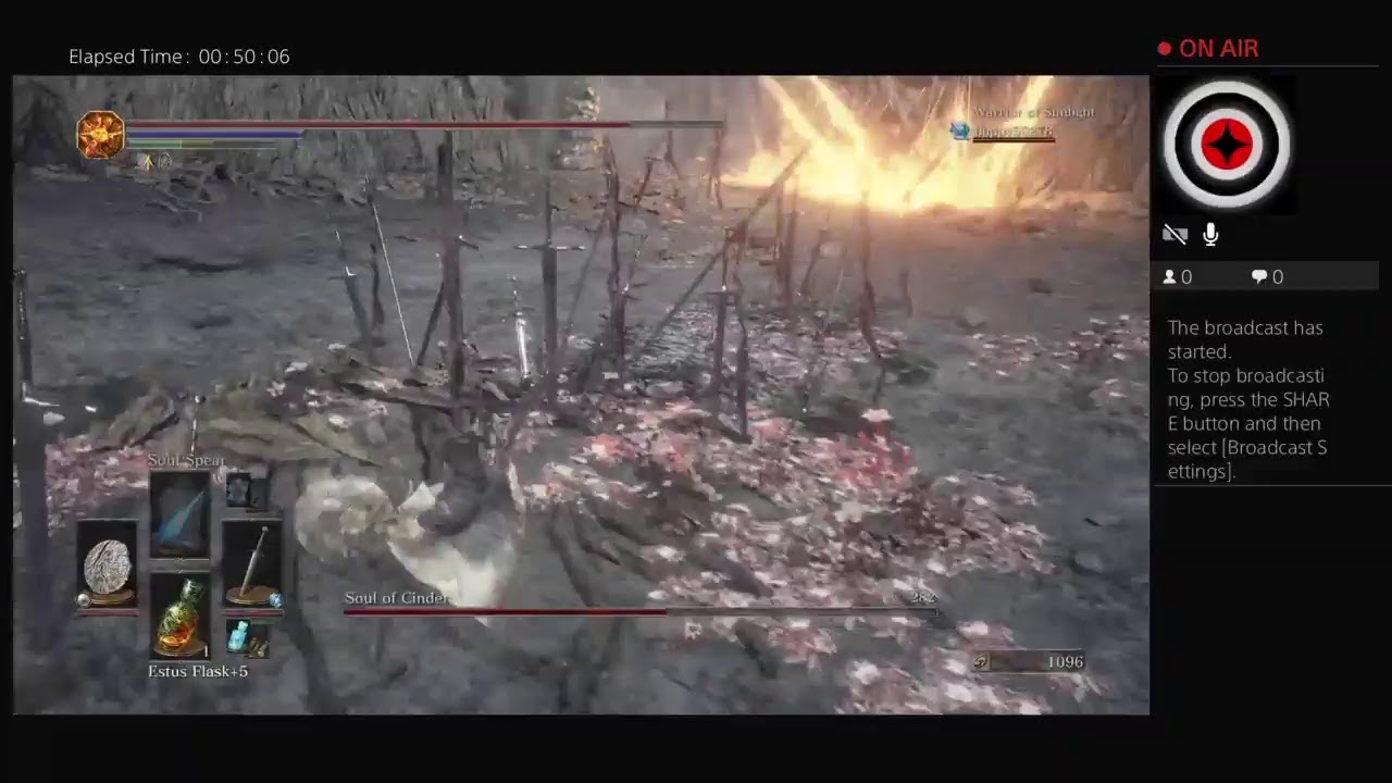 Ds3 summoning peeps - YouTube