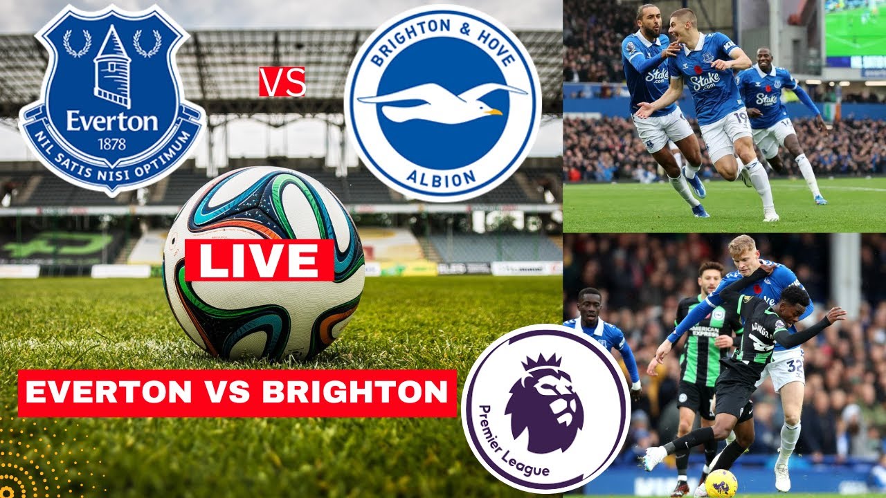 Everton vs Brighton Live Stream Premier league Football EPL Match Score ...