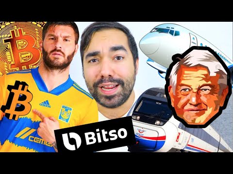 BITSO CON TIGRES & AHORA TODO ES SEGURIDAD NACIONAL?!?! - YouTube