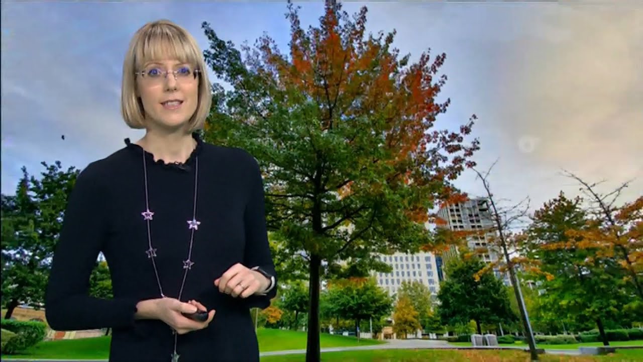 Weather pictures with Sally (Crawley & Southbank) (UK) - ITV London ...