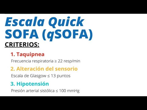 🔴 ESCALA DE QUICK SOFA - YouTube