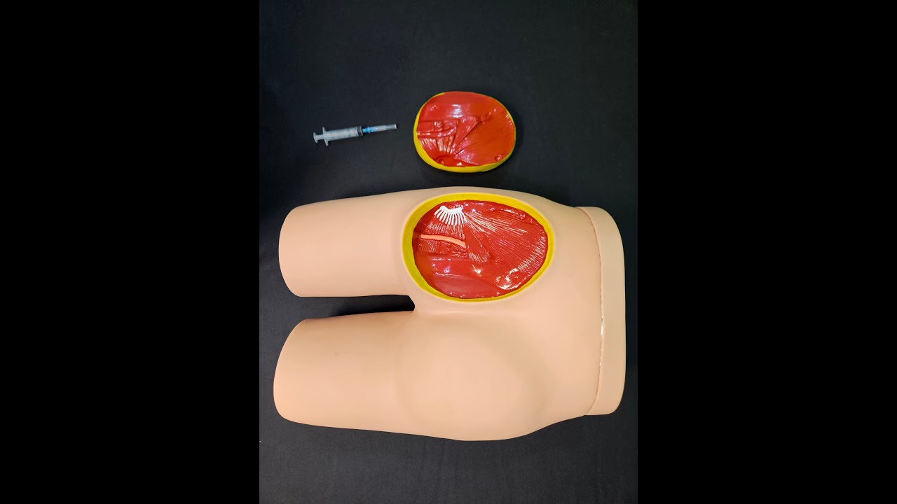 Kay Kay Industries || KKI HS10C Adult Intramuscular Injection Training Manikin - YouTube